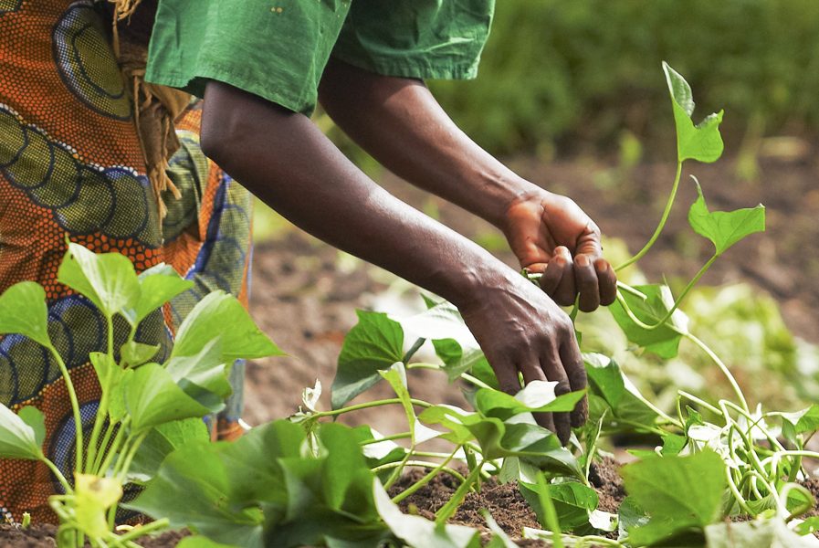 Malnutrition: Meeting the Global Challenge | PRB Data Center